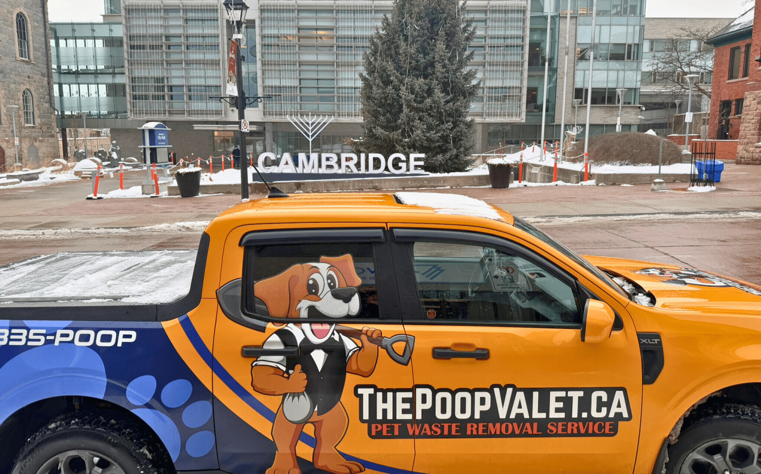Dog Poop Removal Service In Cambridge, ON - The Poop Valet Dog Waste ...