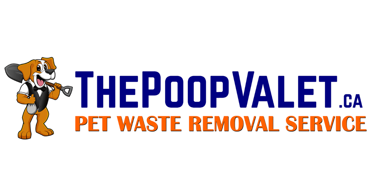 Dog Poop Removal Kitchener | The Poop Valet